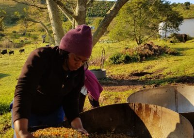 Gallery | Assagay Coffee Farm