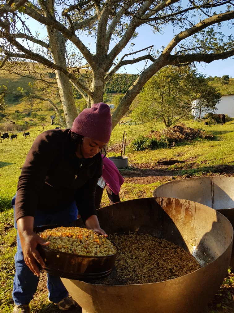 Gallery | Assagay Coffee Farm