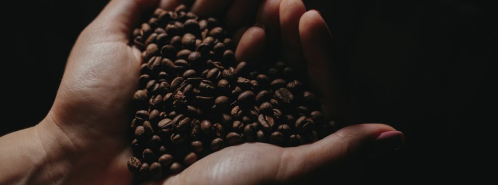 Assagay Coffee Farm – Roasted Fresh – Pure Arabica – Since 1991